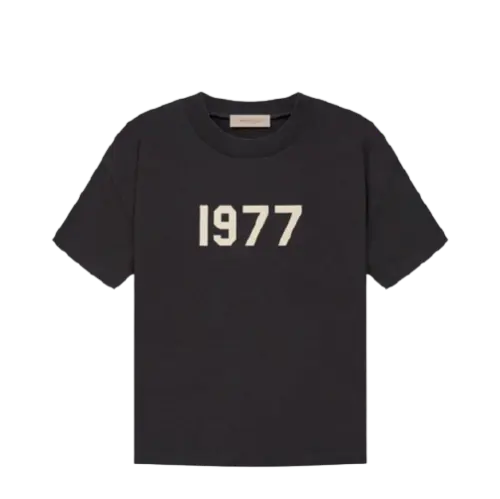 ESSENTIALS 1977 TEE SS22 IRON | AREA 02