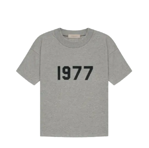 ESSENTIALS 1977 TEE SS22 DARK OATMEAL | AREA 02