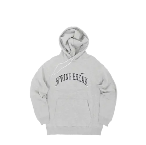 NIKE SB SPRING BREAK HOODIE GREY | AREA 02
